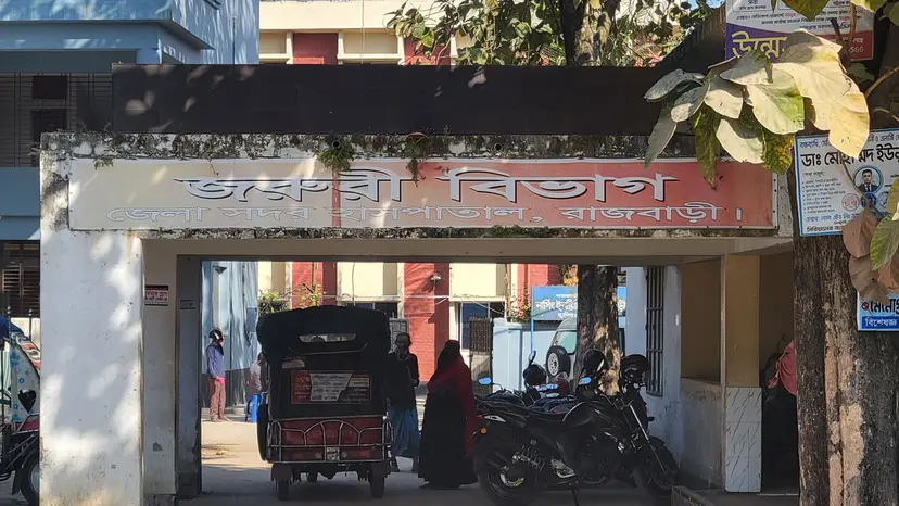 রাজবাড়ীতে আমগাছ থেকে পড়ে কিশোরের মৃত্যু