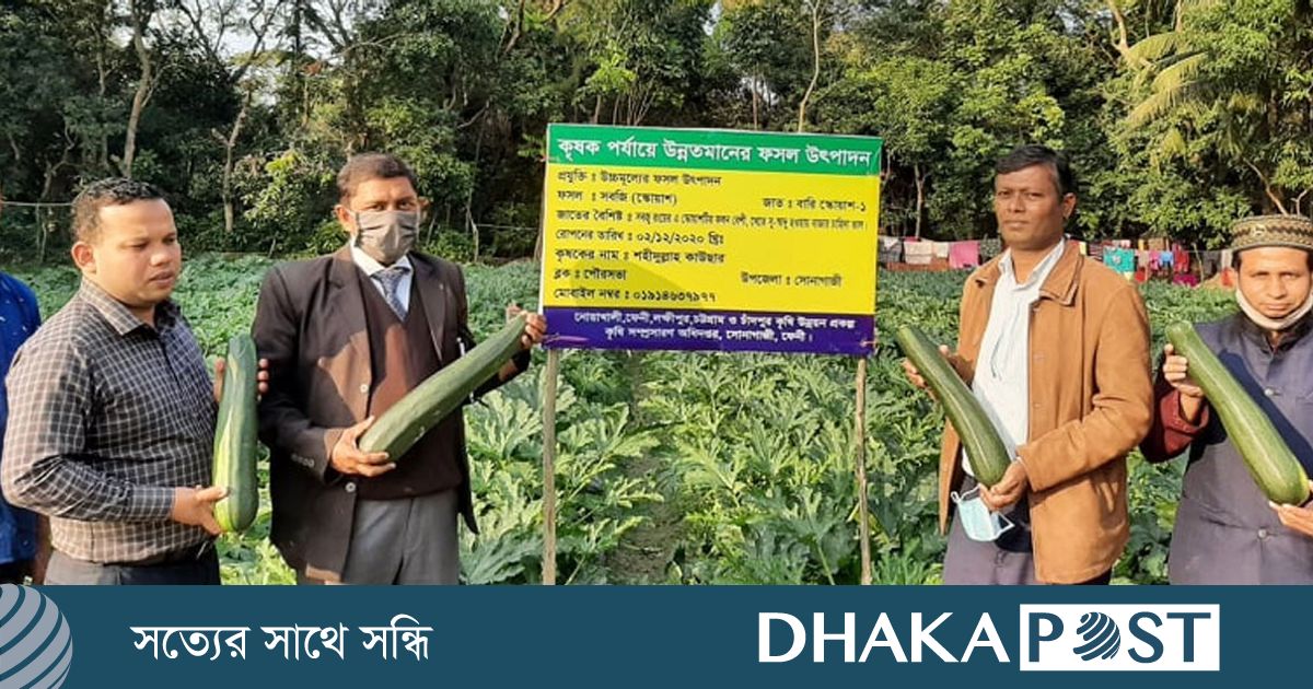 স্কোয়াশ চাষে স্বপ্ন দেখছেন দুই ভাই