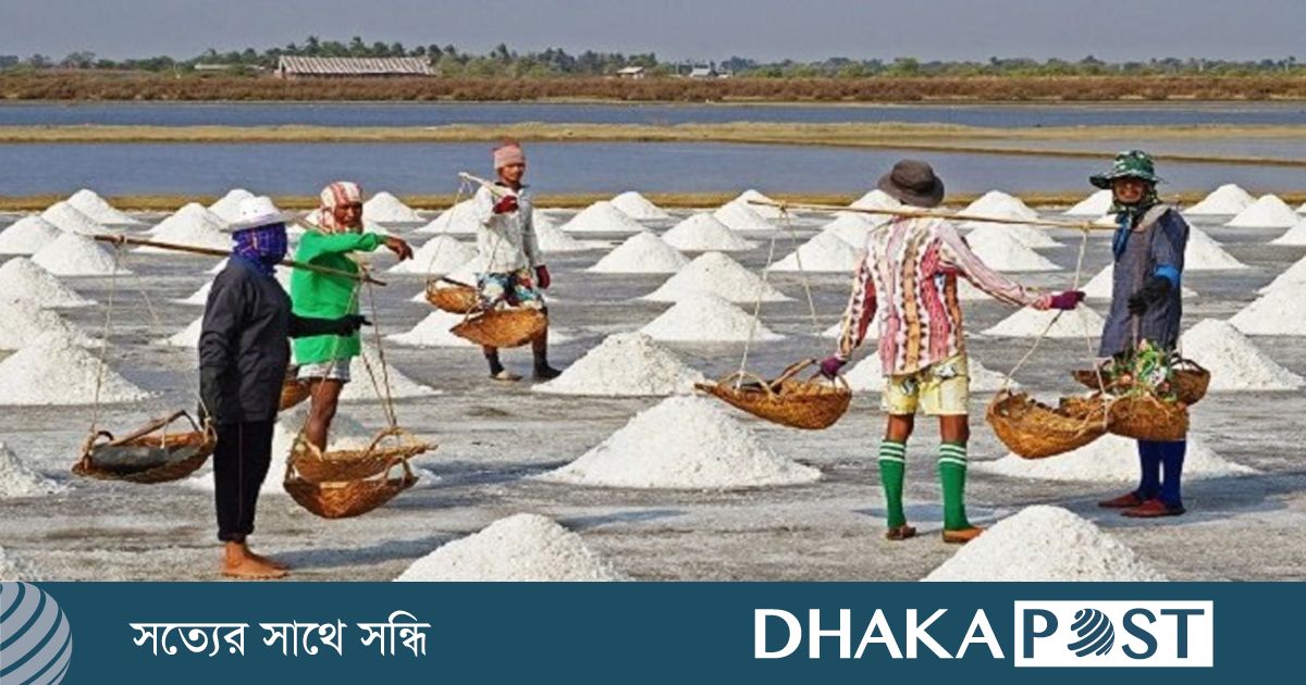 ঘাটতি লাঘবে লবণ নীতিমালা অনুমোদন
