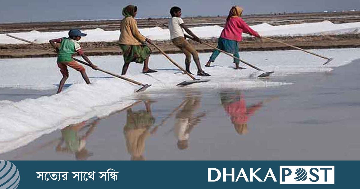 লবণ চাষে মিলবে ৪ শতাংশ সুদে ঋণ