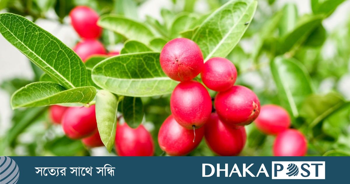 করমচা খাওয়ার উপকারিতা