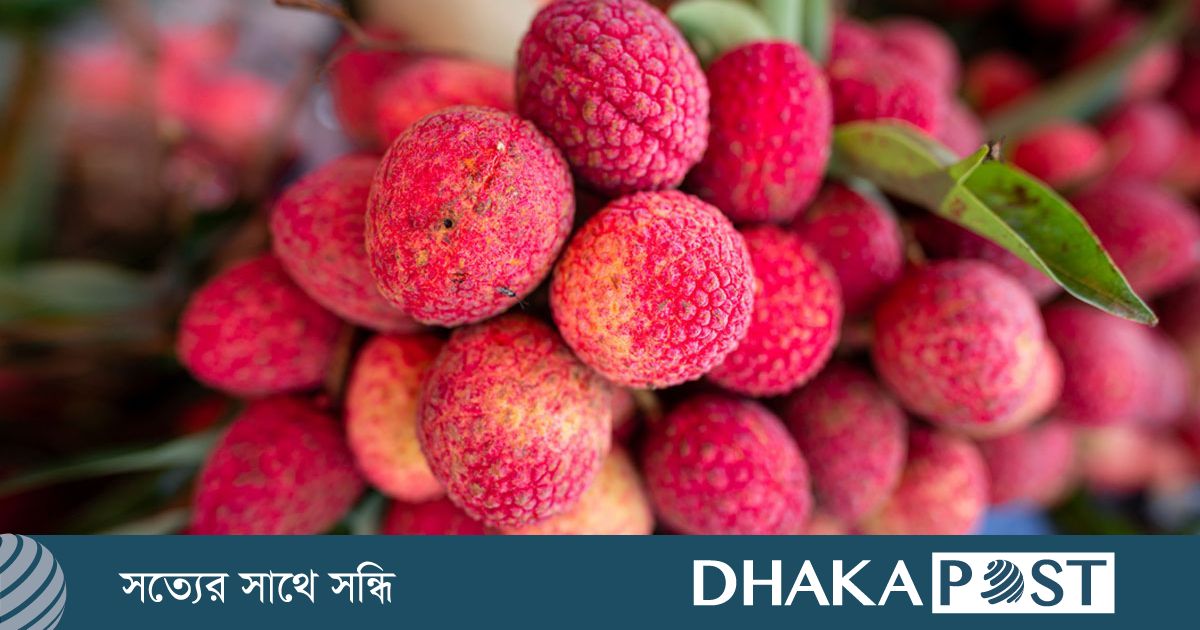 ডায়াবেটিস রোগীরা কি লিচু খেতে পারবেন?