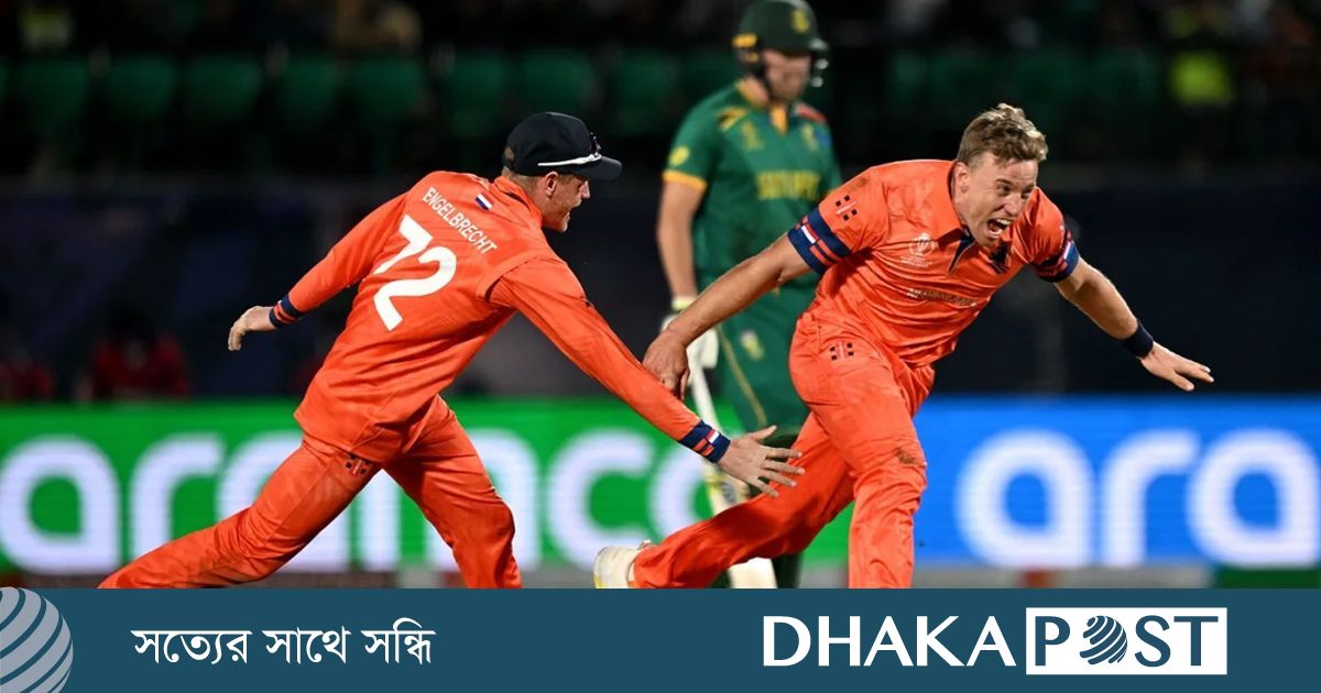 প্রোটিয়াবধের পথে ডাচ রূপকথার বিশেষ মুহূর্ত
