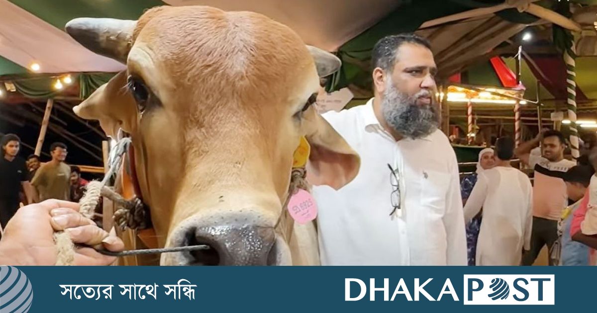 ৪৮৮ গরু ক্রয়-বিক্রয়ে সাদিক অ্যাগ্রোর অভিনব প্রতারণা ও পুকুর চুরি!