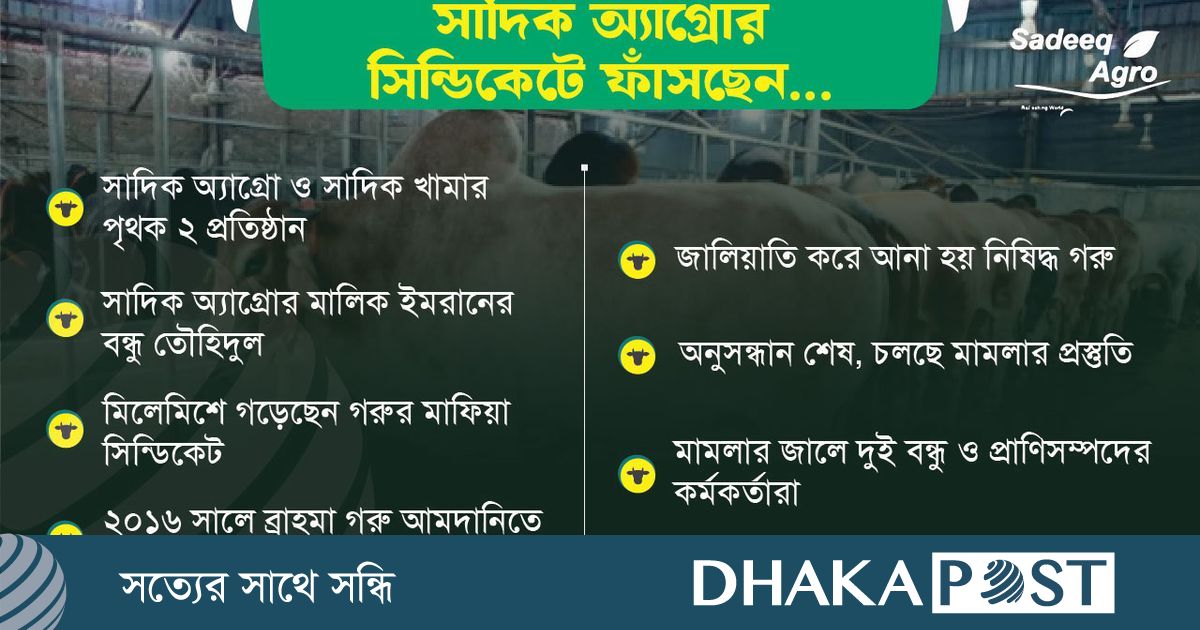 গরুকাণ্ডে ফাঁসছেন সাদিকের ইমরান ও প্রাণিসম্পদের কর্মকর্তারা