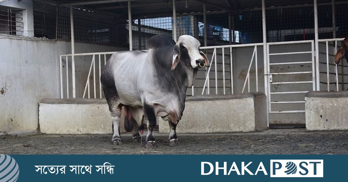 সাদিক অ্যাগ্রোতে উচ্ছেদ অভিযান চালাবে ডিএনসিসি