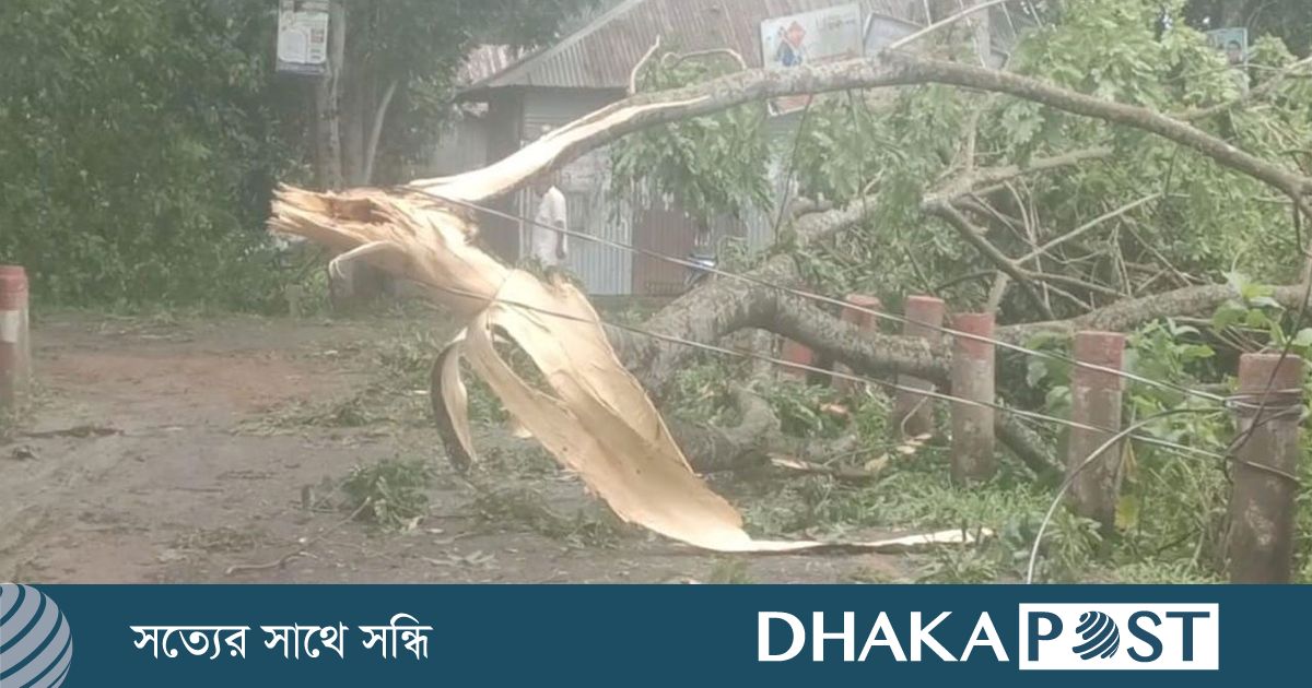 বুধবারের মধ্যে বিদ্যুতের আওতায় আসবে ৮০ শতাংশ গ্রাহক