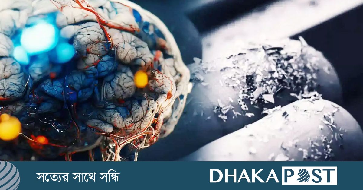 মস্তিষ্কেও ঢুকে পড়ছে মাইক্রোপ্লাস্টিক : গবেষণা