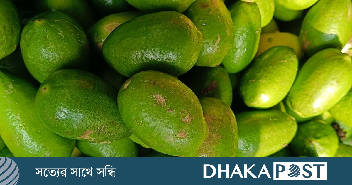 এক লাফে লেবুর পিস ২০ টাকা!