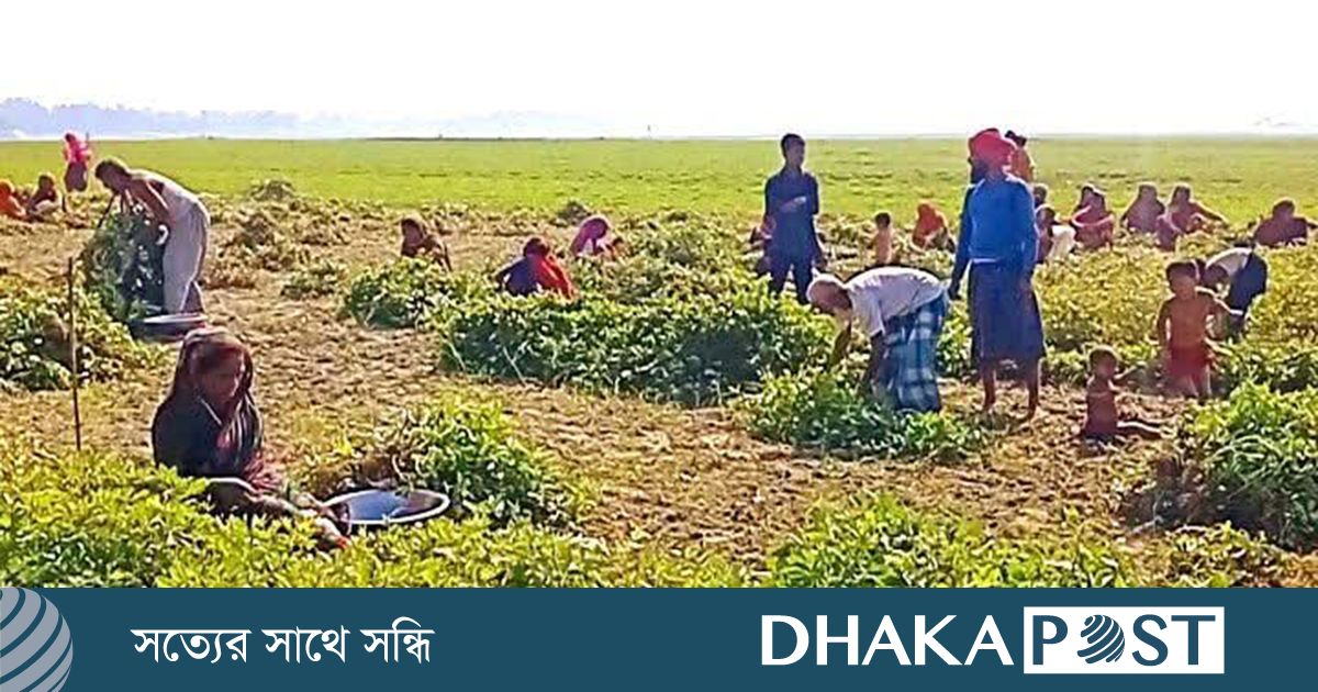 দেশে প্রথমবারের মতো কৃষক দিবস পালিত হবে আজ