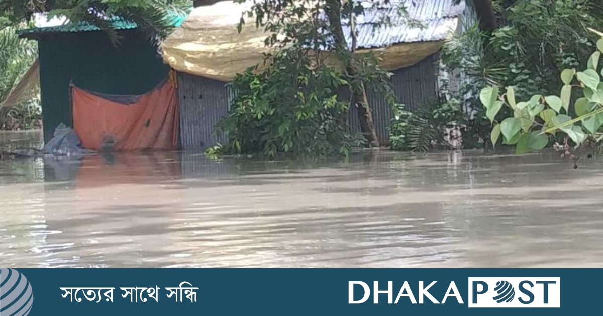 নিম্নচাপের প্রভাবে নিঝুমদ্বীপে বিপর্যস্ত জনজীবন, বসতঘরে হাঁটুপানি