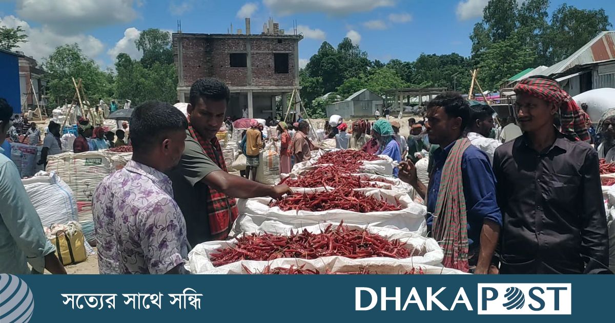 ব্রহ্মপুত্রের পাড়ে লাল মরিচের অস্থায়ী হাটে ব্যবসায়ীদের ভোগান্তি