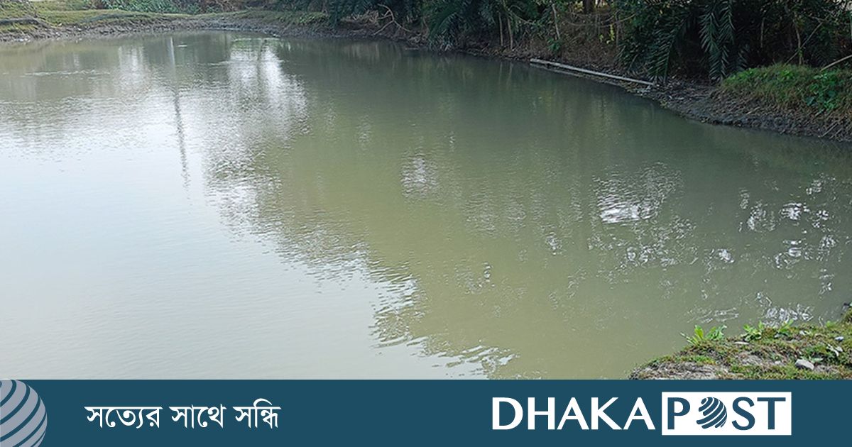 বাড়ির পাশের পুকুরে ডুবে ভাই-বোনের মৃত্যু