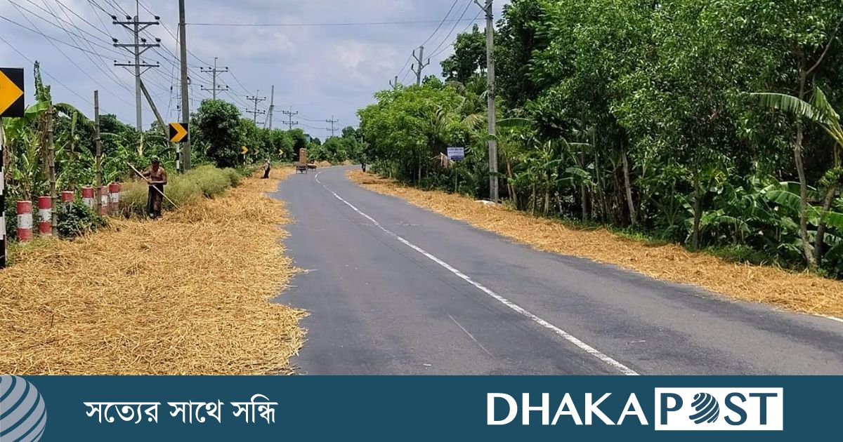 রাজবাড়ী-কুষ্টিয়া মহাসড়কে খড় শুকানোয় বাড়ছে দুর্ঘটনার আশঙ্কা