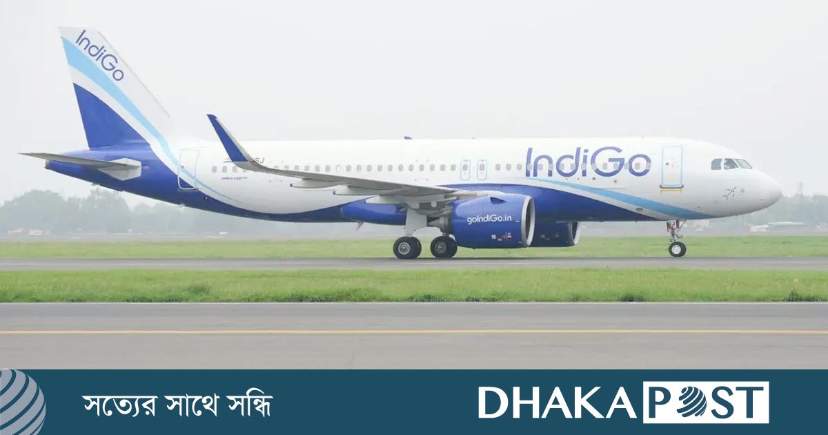 বিমানে ‘বার্ড স্ট্রাইক’, মৃত্যুর মুখ থেকে ফিরলেন দেড় শতাধিক যাত্রী